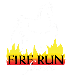 Fire Run Farm inducted into AMHA Breeders Hall of Fame | Fire Run Farm